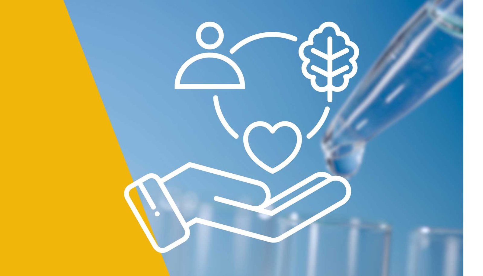 Systain – Nachhaltigkeitsberatung oder nicht? - CSRD-konforme Doppelte ...