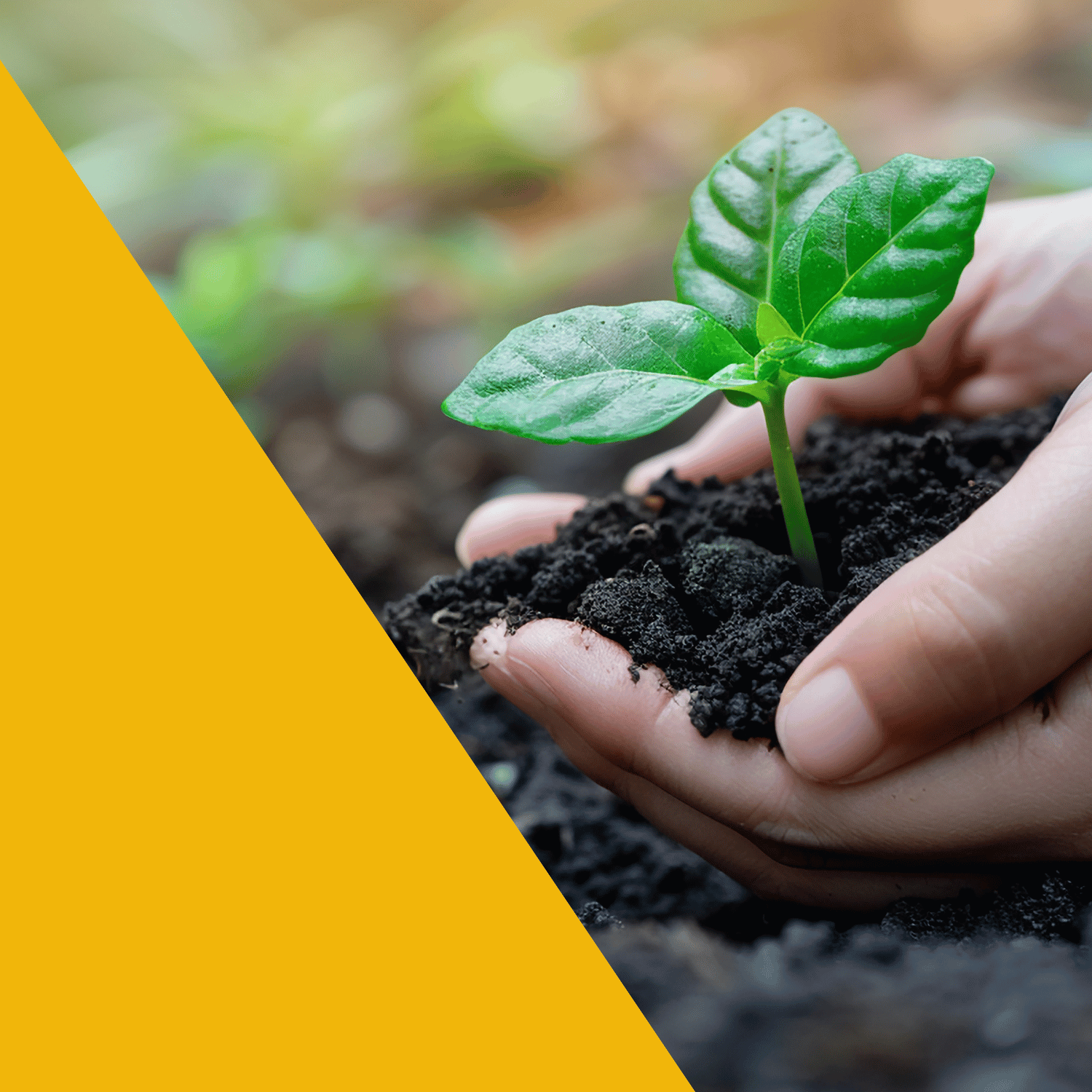 Systain – Nachhaltigkeitsberatung oder nicht? - Neue Guideline zum ESRS ...